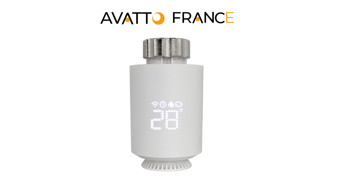 Home Smart-home - Avatto